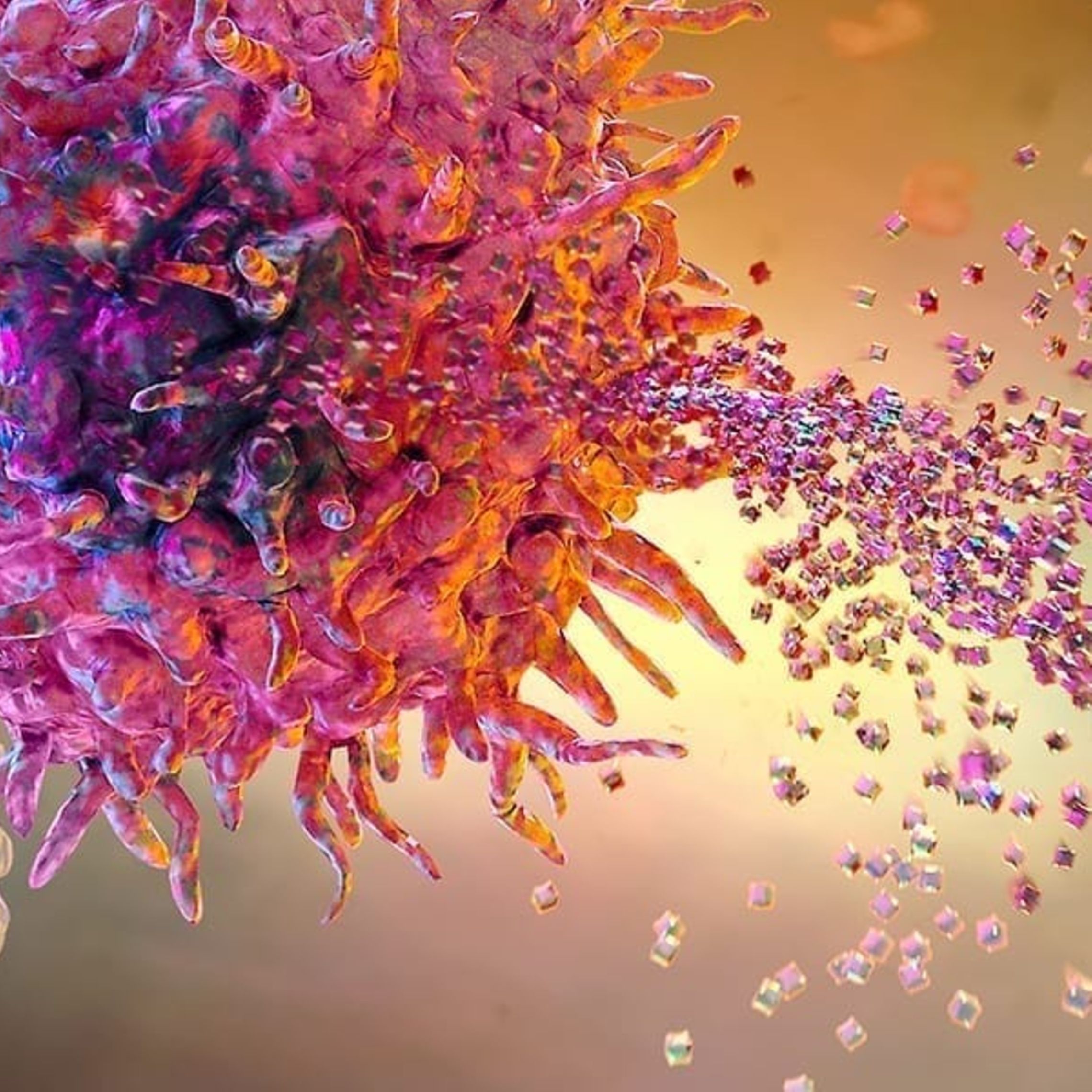 T 细胞表征 | 德国赛多利斯Sartorius