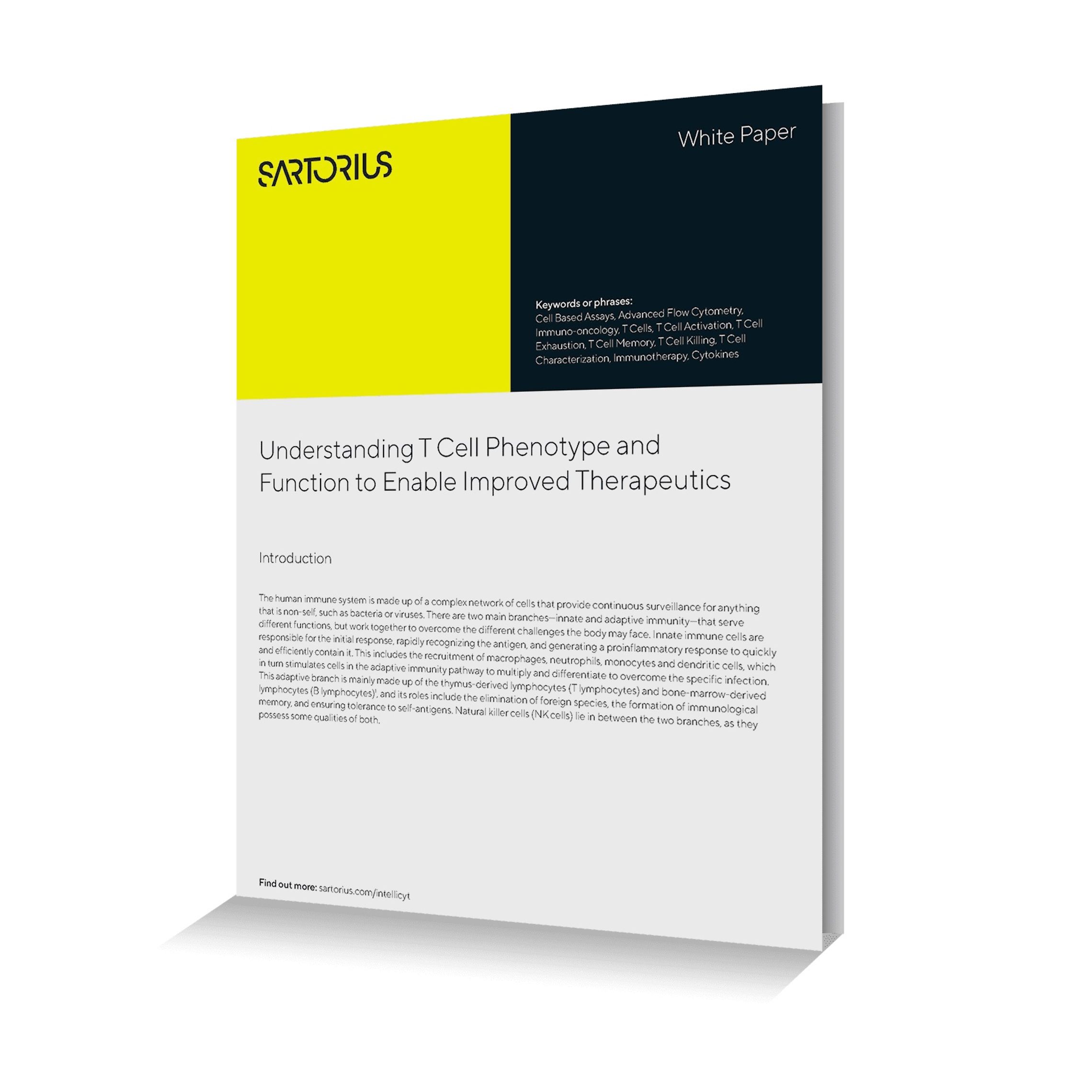 Understanding T-Cell Phenotype and Function to Enable Improved ...