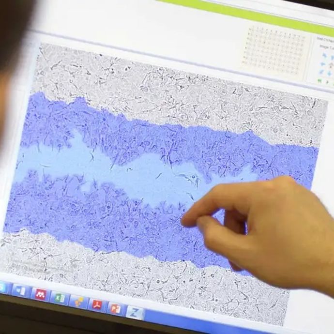 Incucyte® 基础软件 | 德国赛多利斯Sartorius