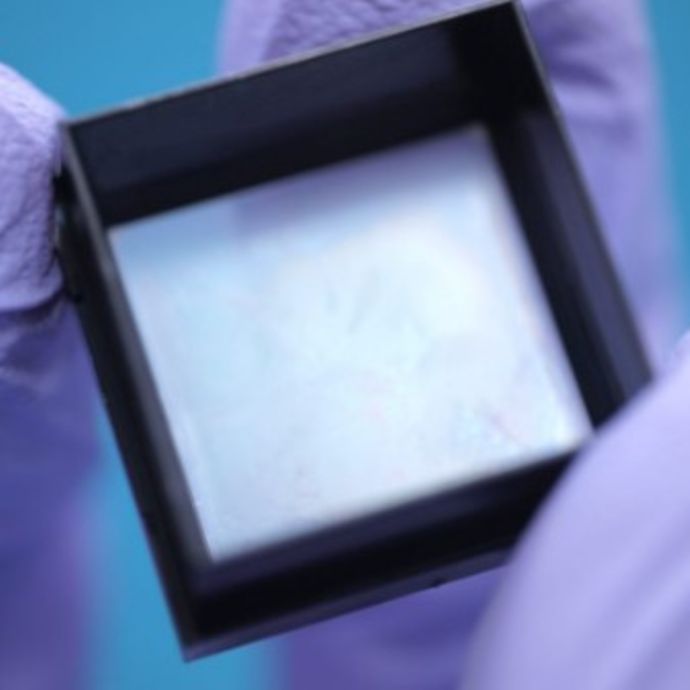 稀有单细胞的分离和染色 | 德国赛多利斯 Sartorius