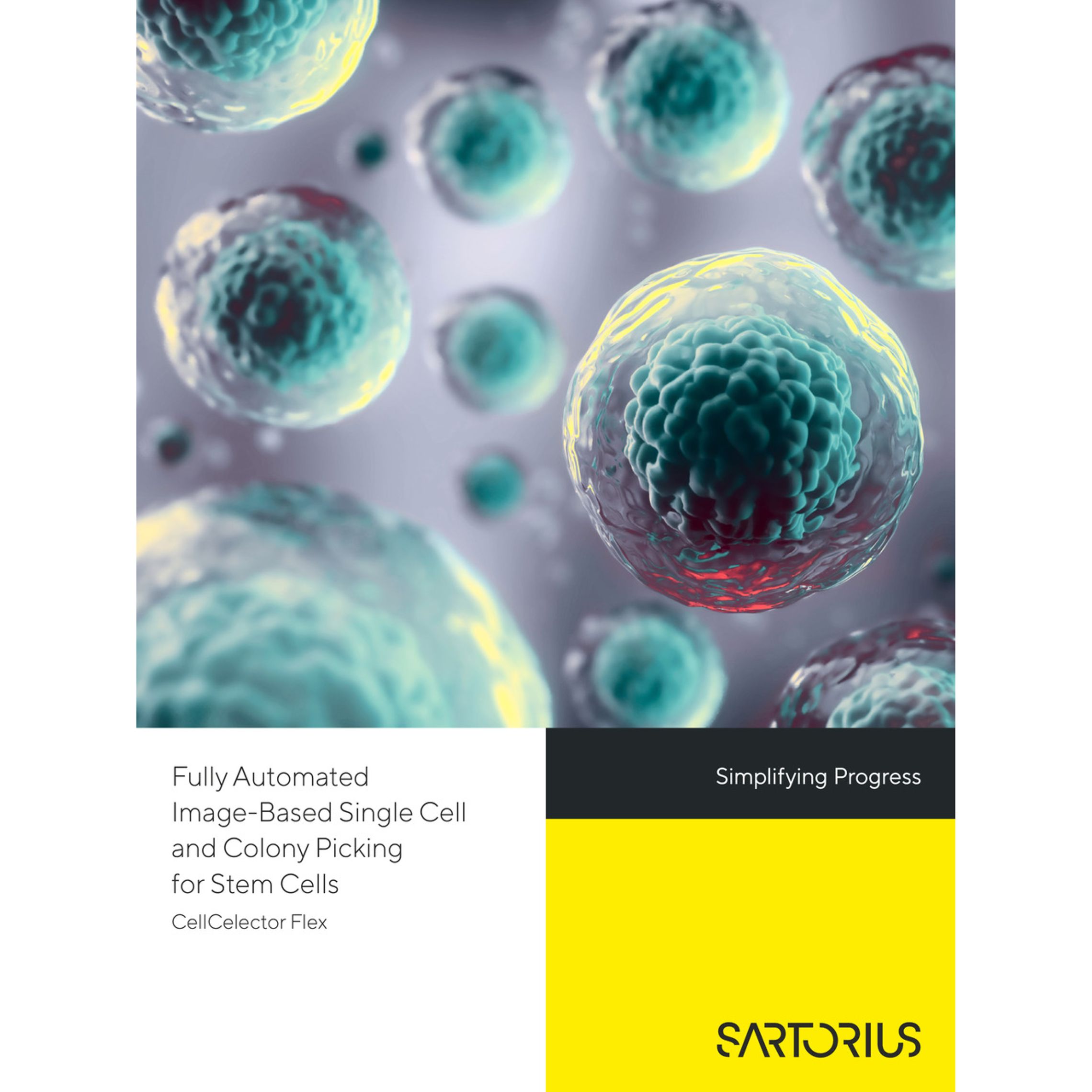 基于图像的全自动干细胞及克隆挑取应用指南