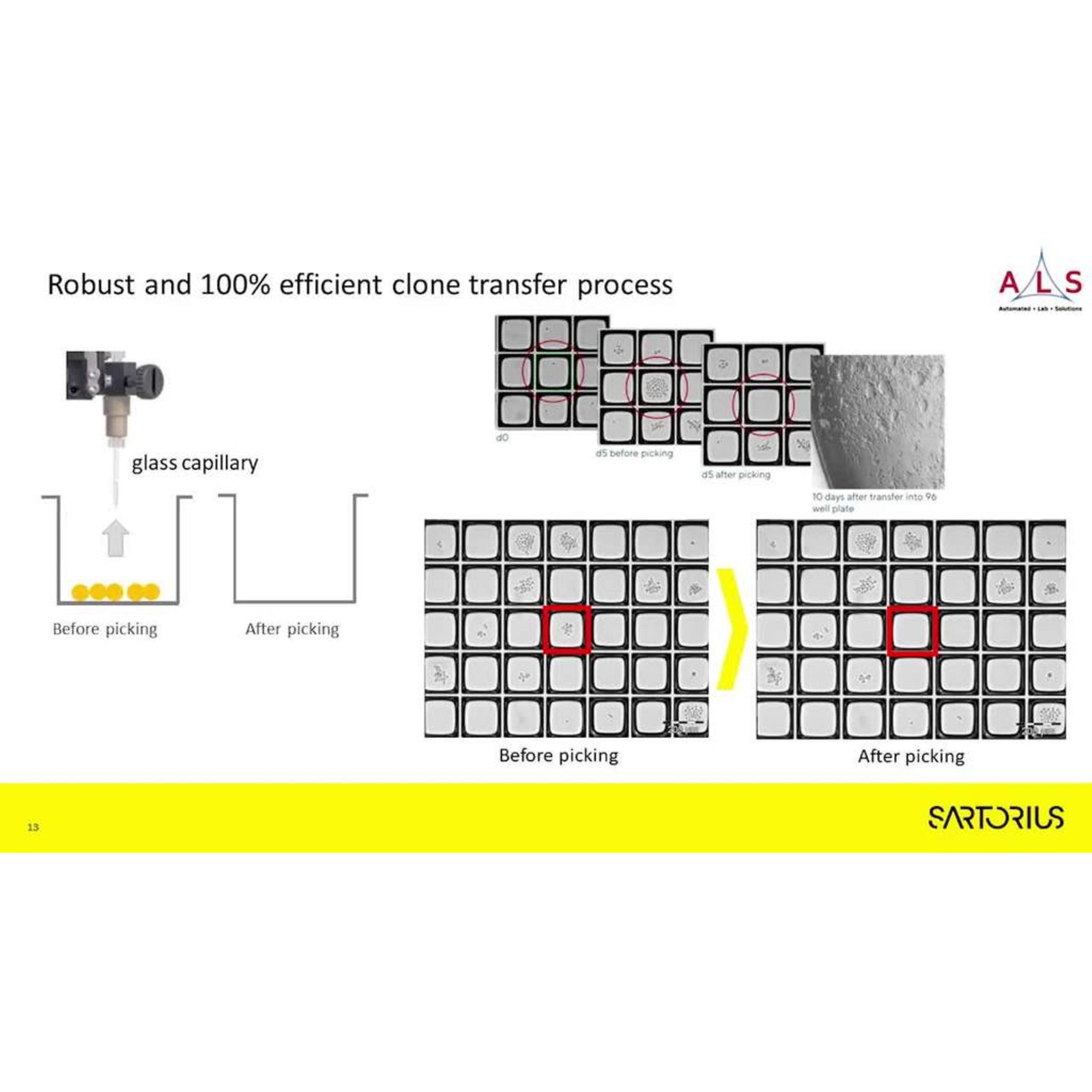 网络研讨会：CellCelector Flex：用于加速细胞系开发的基于纳米孔的单细胞克隆平台