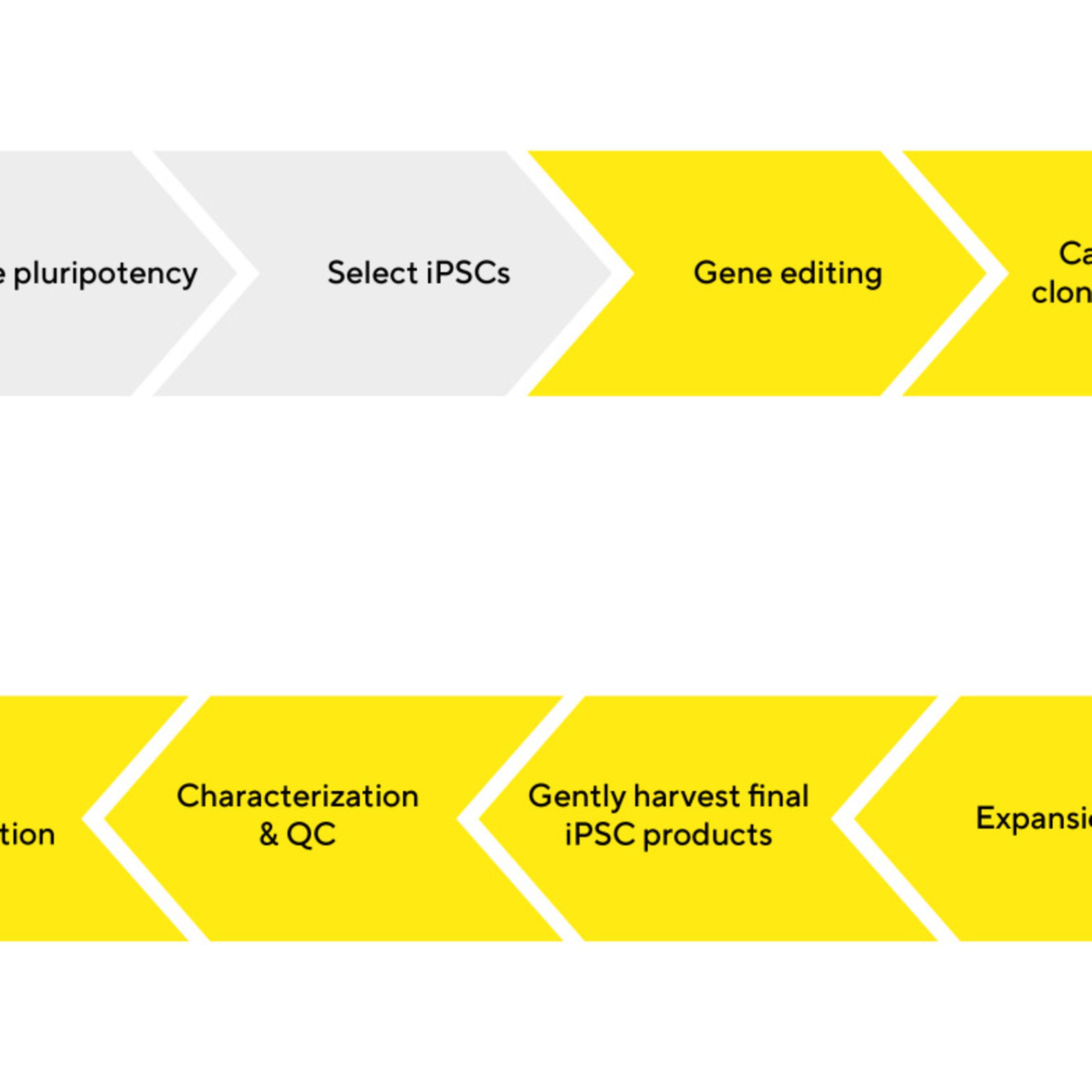 iPSC疗法的研发 | 德国赛多利斯 Sartorius