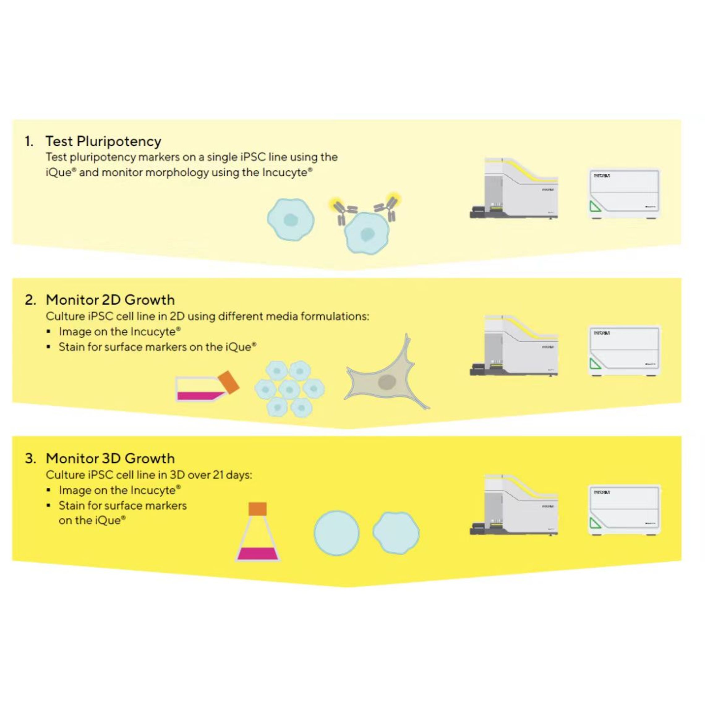 iPSC研究应用：活细胞分析系统助力iPSC培养和检测